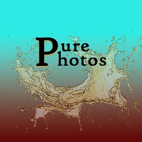 Pure Photos Limited Edition Series by Alan Goldberg – Limited Editions ...